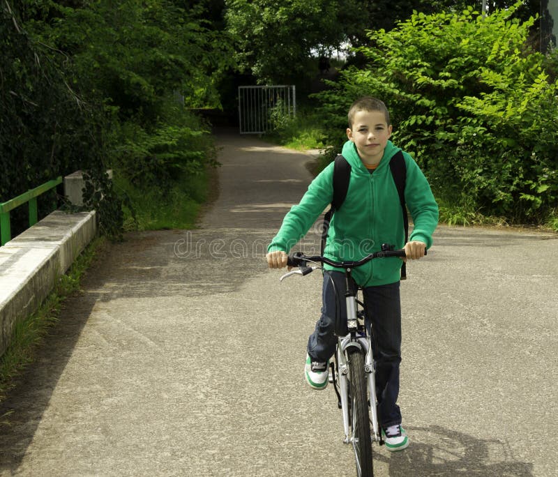 Lamb Standing stock photo. Image of white, ribs, little - 2435220