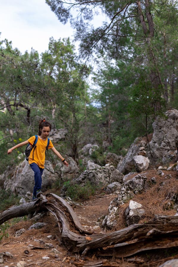 A Boy with a Backpack Walks Along the Trunk of a Fallen Tree, a Child ...