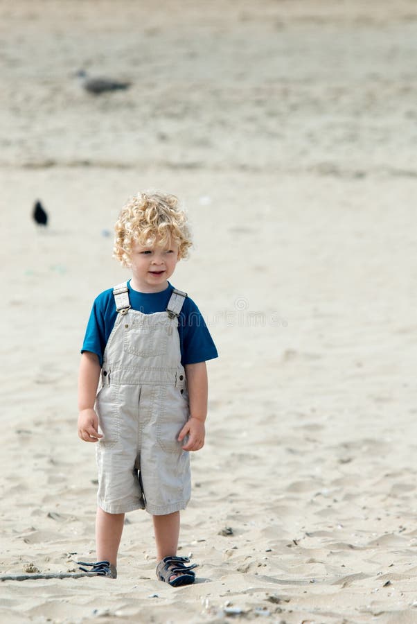 Boy at the beach stock photo. Image of dutch, beautiful - 6054504