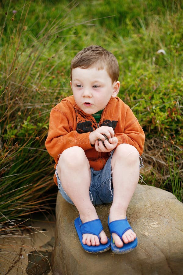 Boy at the Beach stock photo. Image of male, collecting - 63486666