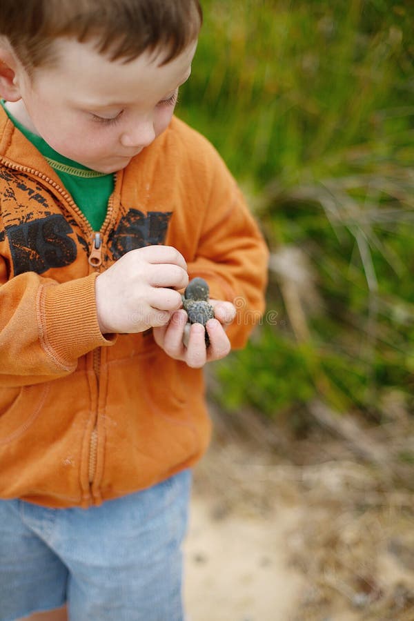 Boy at the Beach stock photo. Image of sand, young, beach - 63487062