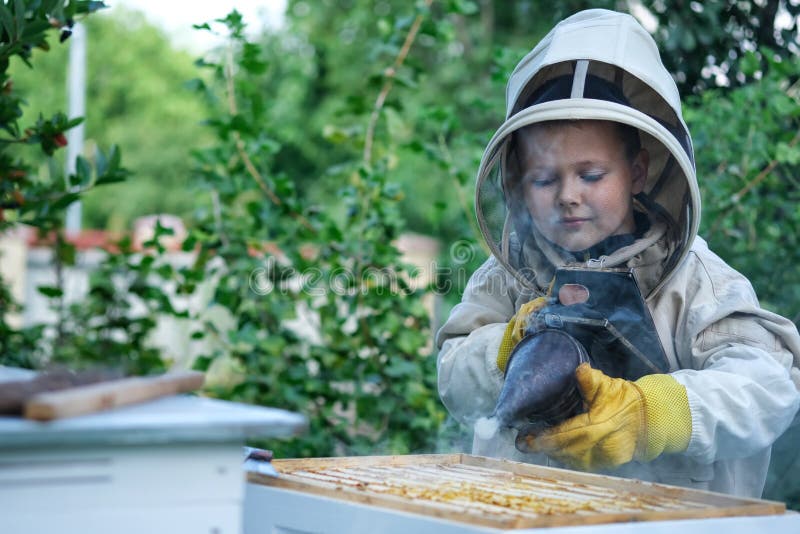 Cheerful Boy Beekeeper in Protective Suit Near Beehive. Honeycomb with ...