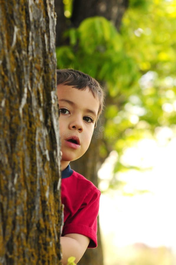 Hiding Behind Tree stock image. Image of woods, playful - 5235351