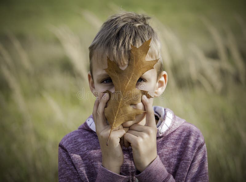 Boy with big autumn leaf stock image. Image of autumn - 60618335