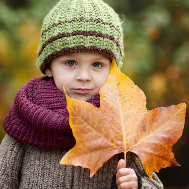 Boy with big leaf stock image. Image of yellow, play - 44071629