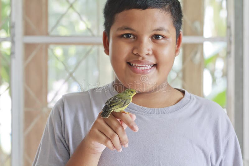 Boy and bird stock image. Image of sunbird, animal, happiness - 27564493