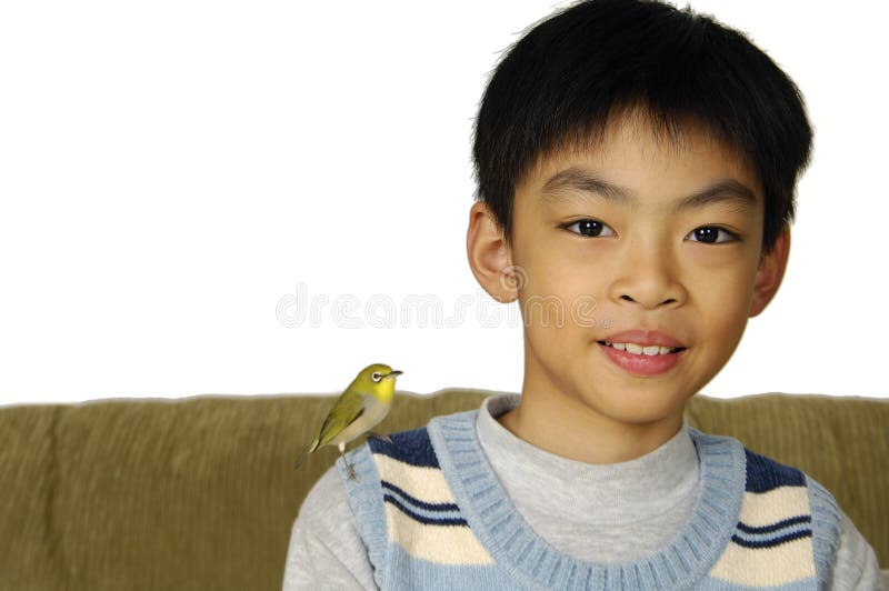 Boy and Bird stock image. Image of posing, pretty, sweet - 9616721