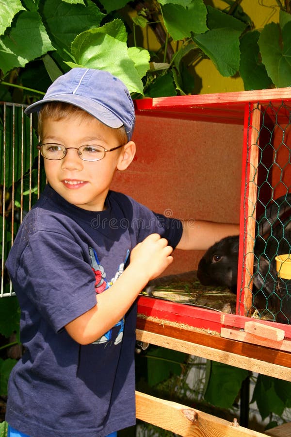 White and black rabbit stock photo. Image of beauty, grass - 5406712