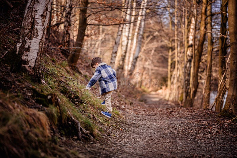 Young Boy Walking on Forest Trail in Early Spring Stock Photo - Image ...