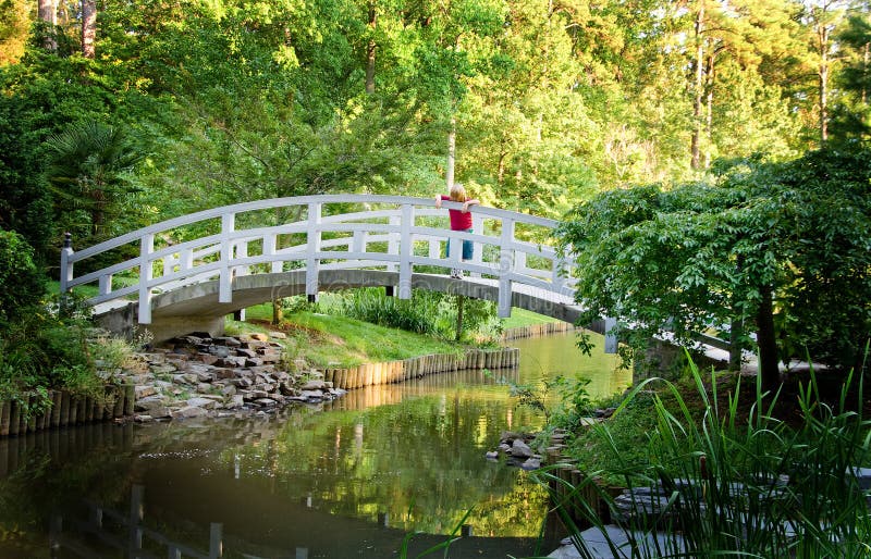 Boy on Bridge stock image. Image of gardening, arched - 9997369
