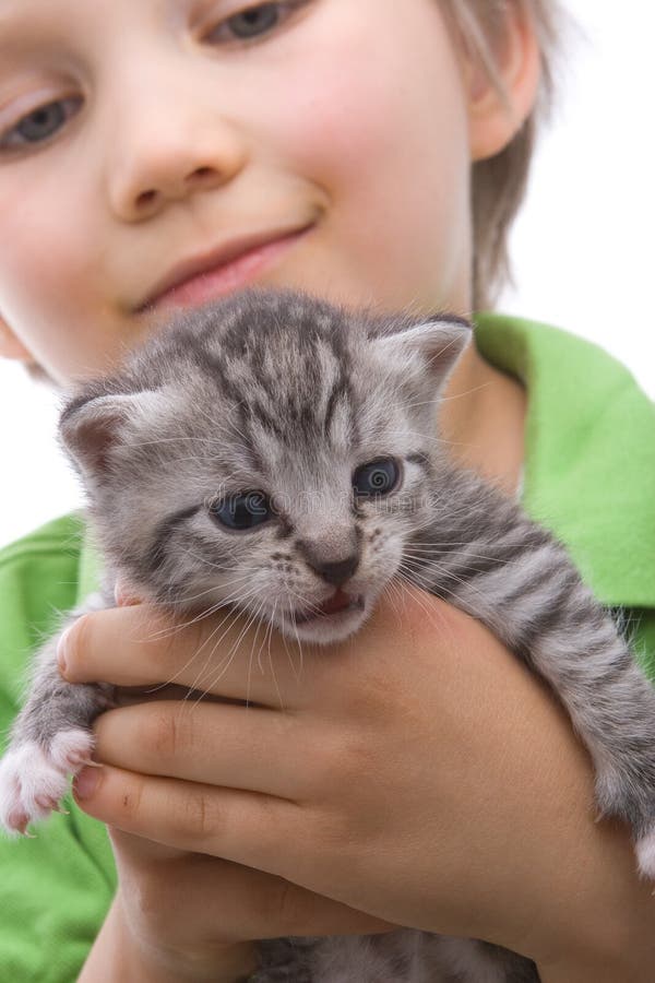 Boy with Cat stock image. Image of child, tiny, holding - 2418201