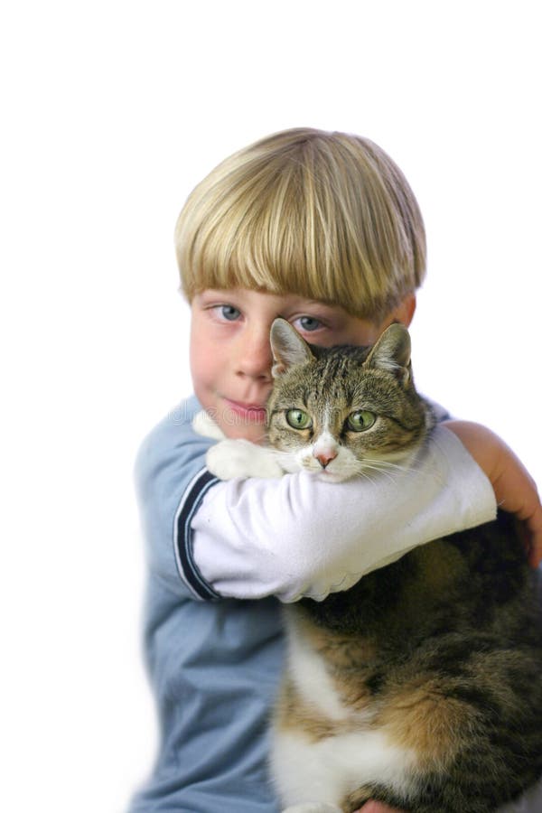 Boy with cat stock photo. Image of bond, friend, mate, young - 247548