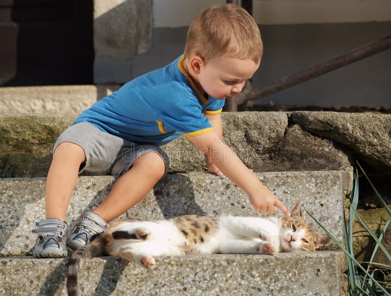 Boy with cat stock photo. Image of animal, outdoor, little - 27049088
