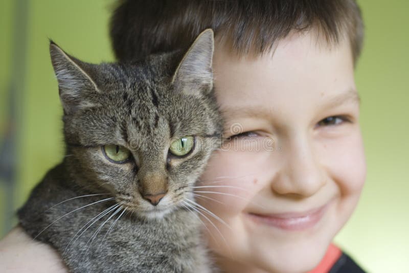 Boy with cat stock image. Image of eyes, boys, animal, happiness - 687035