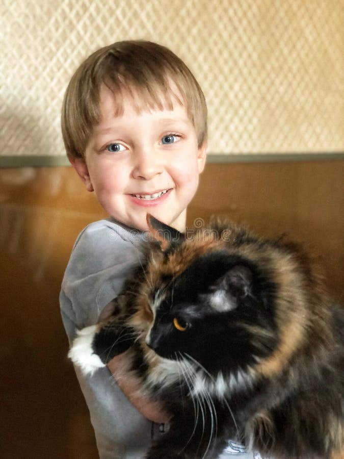 Boy and cat stock image. Image of eayrs, blue, dosmetic - 109991775