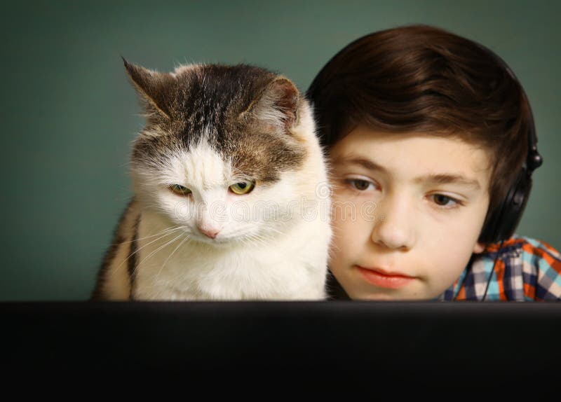 Boy and Cat Watch Movie on Computer Stock Image - Image of kitten ...