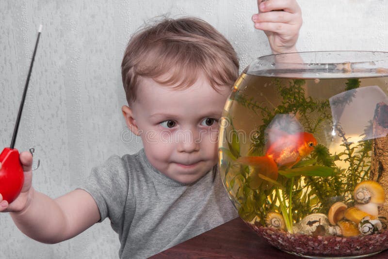 Baby with pet fish stock photo. Image of child, happy - 5538854
