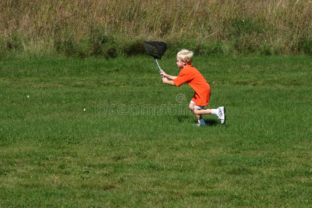 Boy Catching Bugs stock photo. Image of insect, butterfly - 1247240