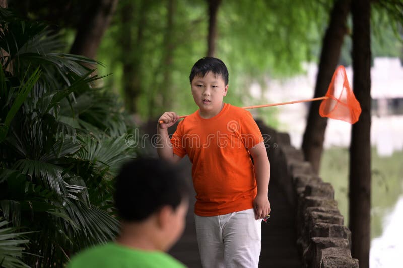 Boy Catching Fish with a Fishing Net Stock Image - Image of pond ...