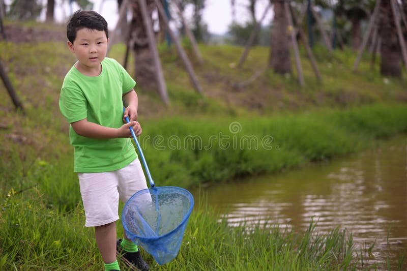 Boy Catching Fish with a Fishing Net Stock Image - Image of fish ...