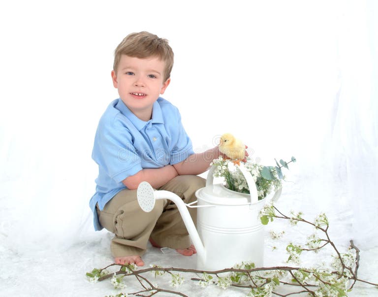 441 Chicken Water Can Stock Photos - Free & Royalty-Free Stock Photos ...