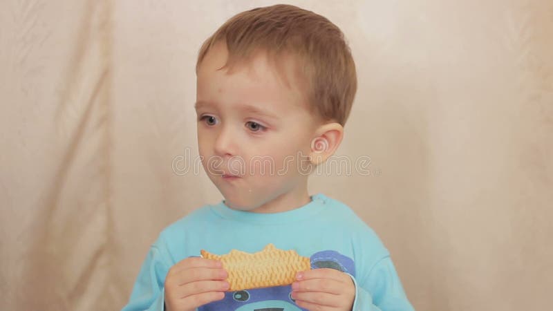 Boy child eating cookies. stock video. Video of childhood - 84468377