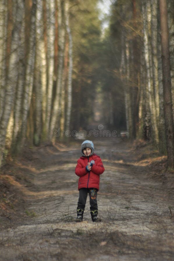 The Boy, the Child in the Forest. Fun in the Fresh Air Stock Image ...