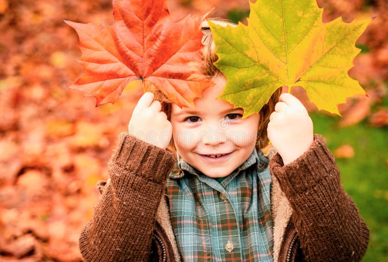 Boy Child with Leaf in Autumn Park. Stock Photo - Image of leaves ...