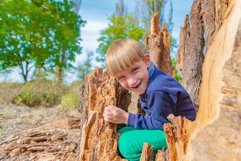 The Boy Climbed Inside an Old Rotten Stump and Sits There Smiling and ...