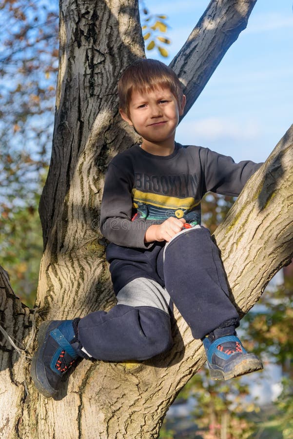 Boy Climbed on Tree. the Boy Sitting in a Tree in an Autumn Forest ...