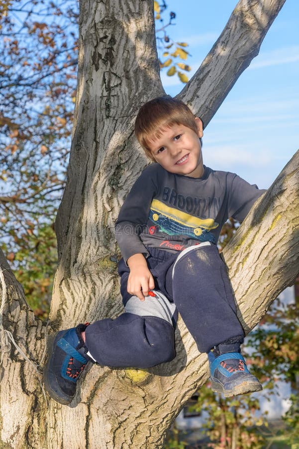 Boy Climbed on Tree. the Boy Sitting in a Tree in an Autumn Forest ...