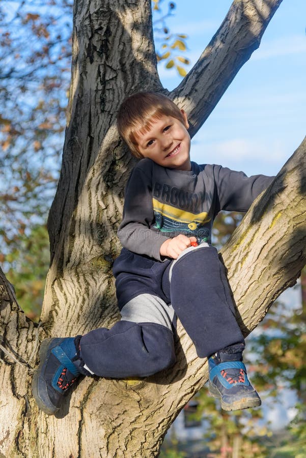 Boy Climbed on Tree. the Boy Sitting in a Tree in an Autumn Forest ...
