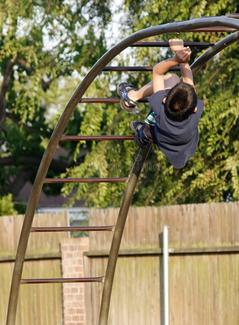 832 Monkey Ladder Stock Photos - Free & Royalty-Free Stock Photos from ...