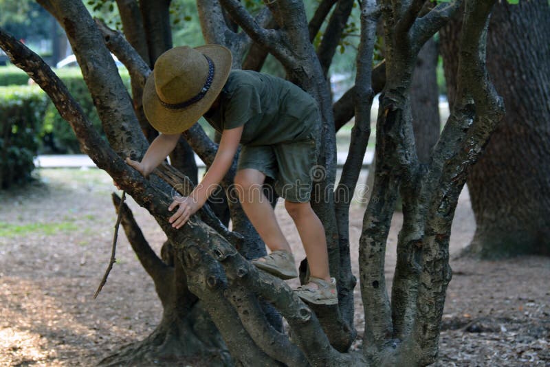 A Boy Climbing Off the Tree Stock Image - Image of natural, smiling ...