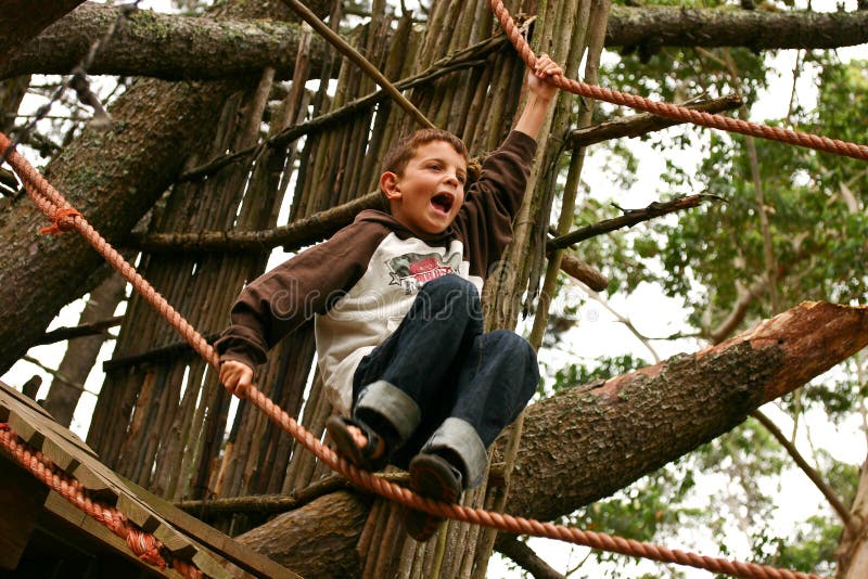Boy climbing tree stock photo. Image of childhood, child - 18906836