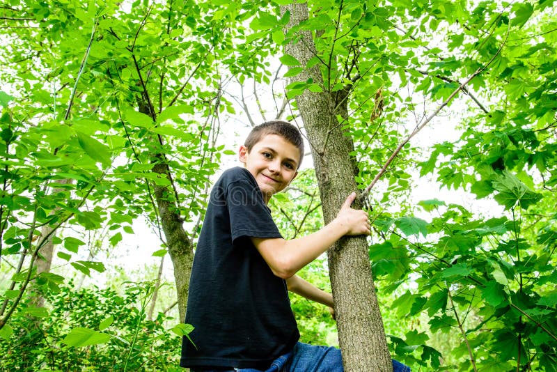 Boy Climbing Tree Looking Down Stock Image - Image of playing, sunshine ...