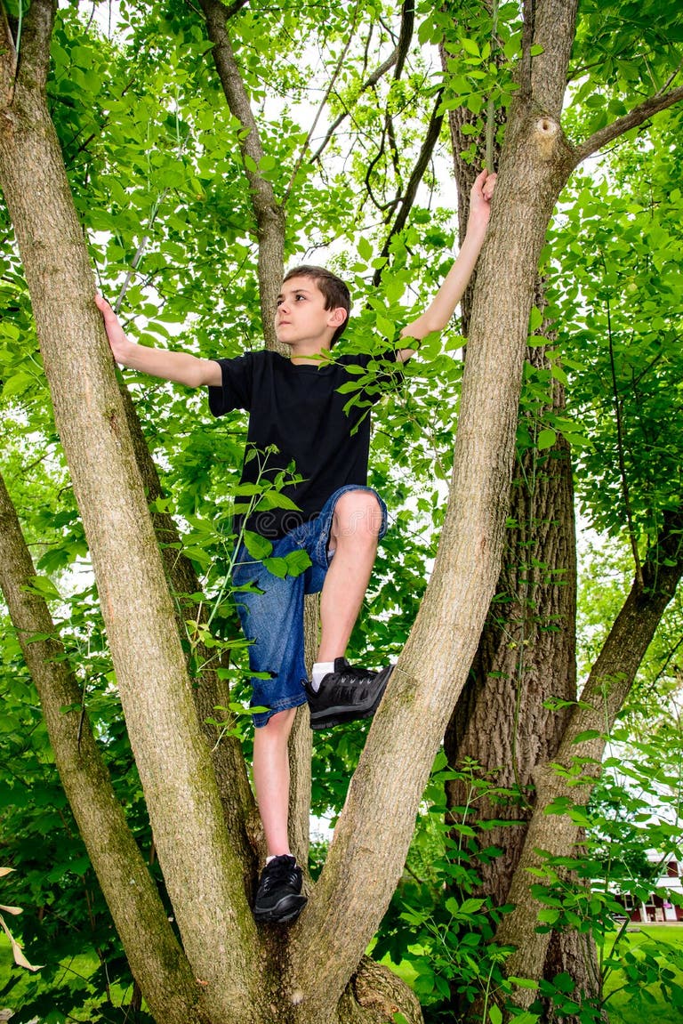 7,529 Boy Climbing Tree Stock Photos - Free & Royalty-Free Stock Photos ...