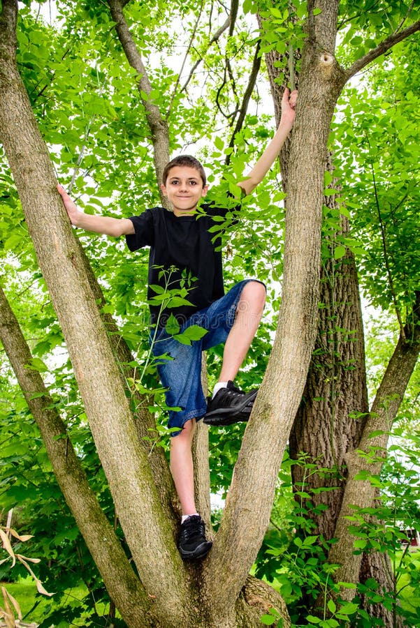 Boy Climbing Tree Looking To Left Stock Image - Image of trees, climb ...