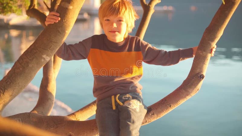 Boy Climbing Trees at Sunset Stock Footage - Video of activity, climb ...