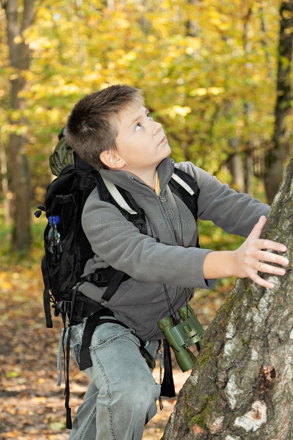 Boy climbing up on tree stock photo. Image of forest - 26425564