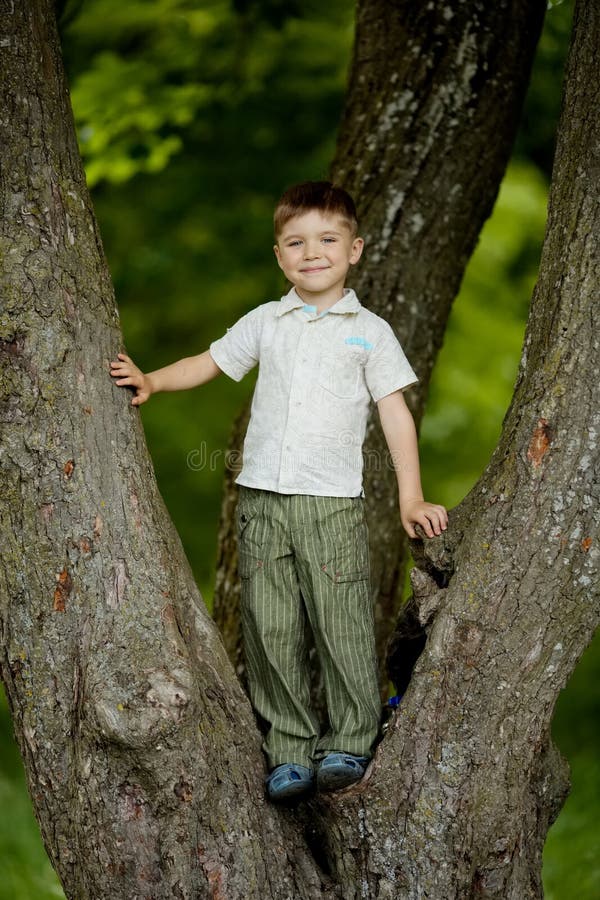 Boy Climbs Big Tree in Park Stock Image - Image of green, human: 90638483