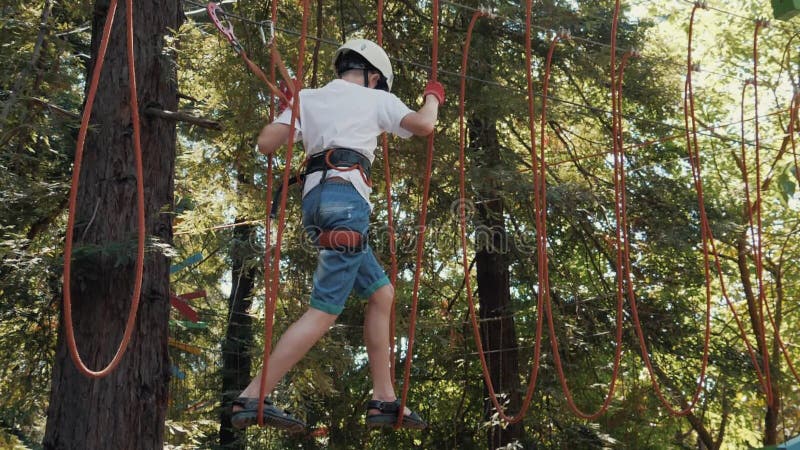 The Boy Climbs the Obstacle Course in the Camp. a Brave Boy Fulfills ...