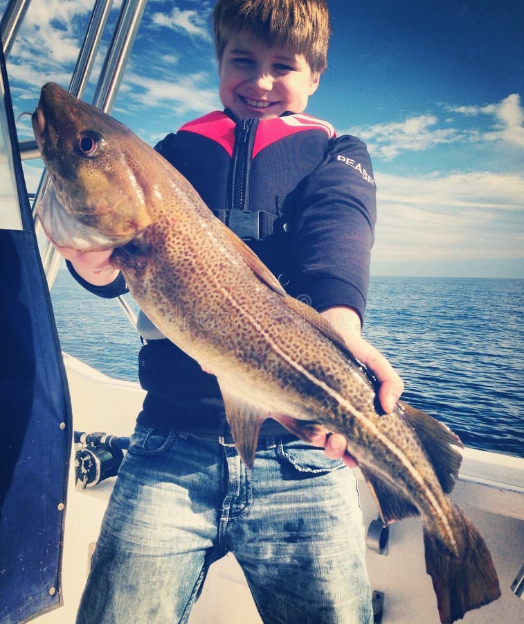Tug boat stock image. Image of tugboat, plymouth, port - 94448033