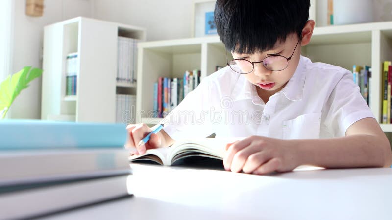 Boy Reading a Book and Concentrating on His Studies Stock Footage ...
