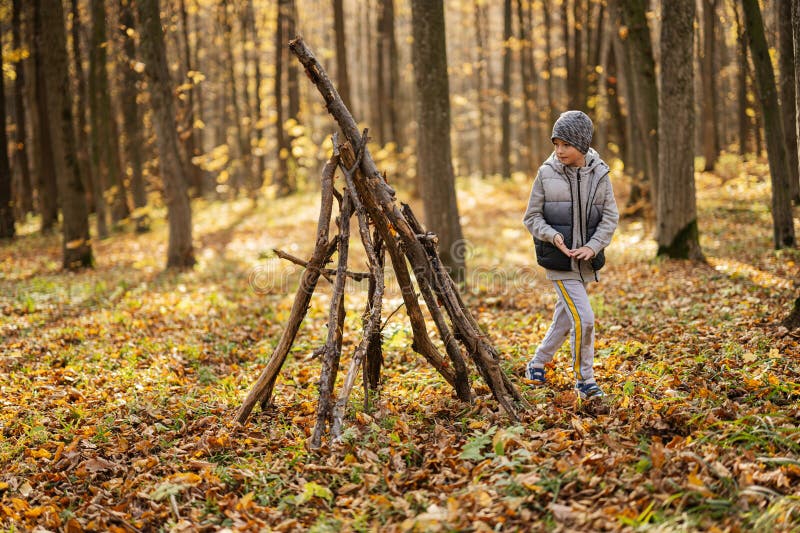 Boy Constructs a House from Sticks in Autumn Forest Stock Image - Image ...