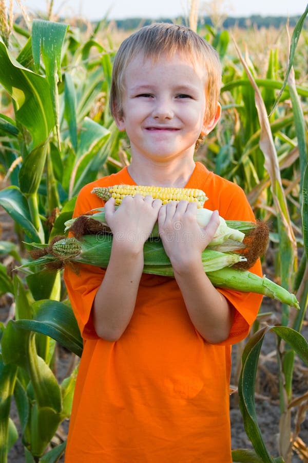 Boy with the corn stock photo. Image of healthy, life - 15581078