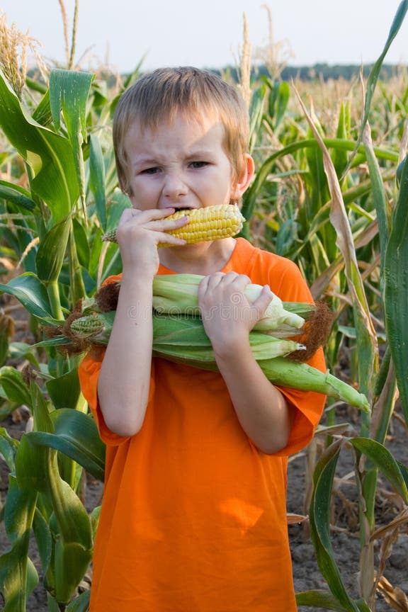 Boy with the Corn in His Teeth Stock Image - Image of kids, lifestyle ...