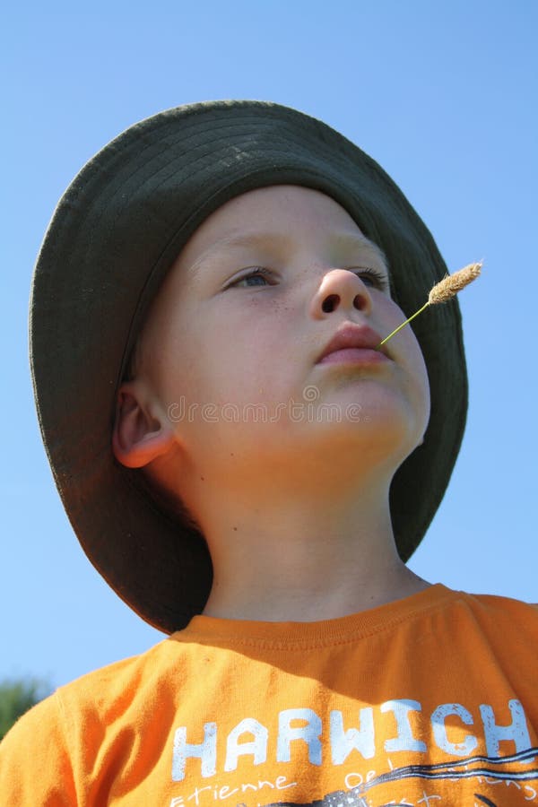 Boy with Corn Stalk in Mouth Stock Image - Image of autumn, corn: 20226719