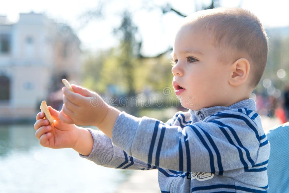 Boy with crackers stock image. Image of infant, cute - 31259341