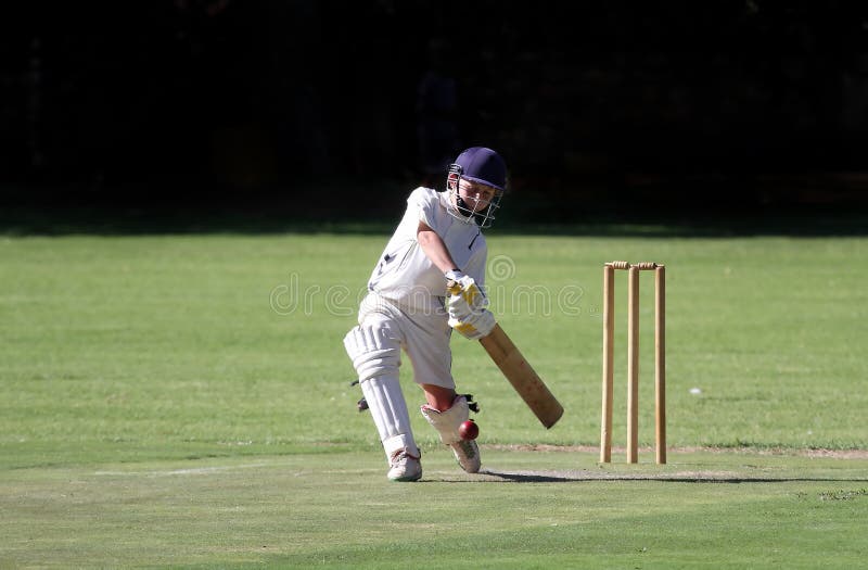 Boy cricket cover drive stock photo. Image of young, cricket - 28041672